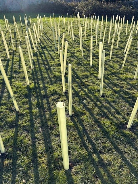 Fairfax Staff and Students Community Tree Planting – FMAT
